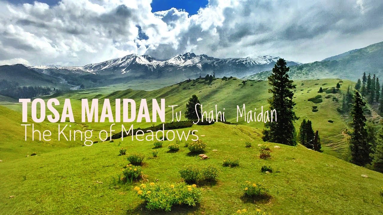 Tosa Maidan: The Untouched Meadow of Kashmir You Must Visit - Top Class ...