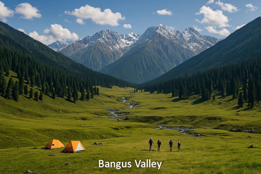 Bangus Valley : Kashmir’s Untouched Trekking Paradise - Top Class Holidays